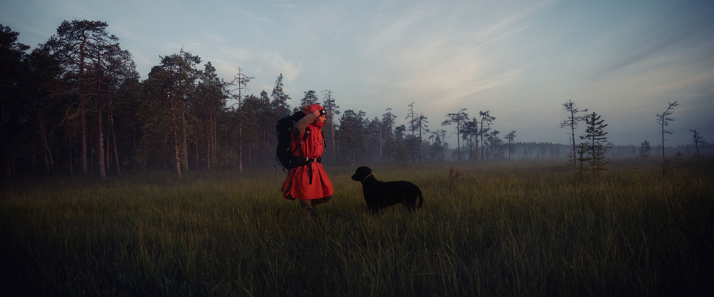 Die Geschichte von Harri – Halti Germany